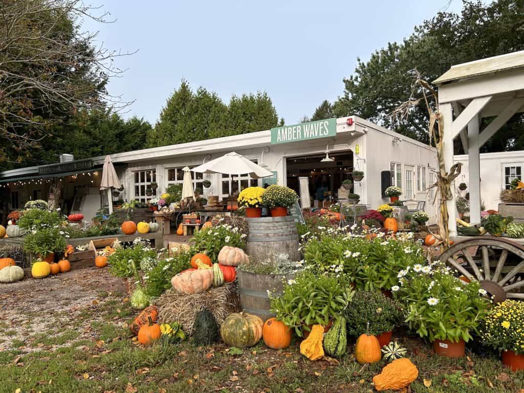 Best Fall Activities in the Hamptons | Hamptons Social