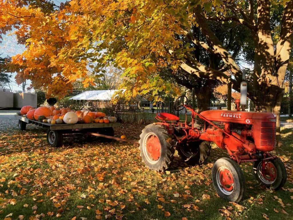 Best Fall Activities in the Hamptons | Hamptons Social