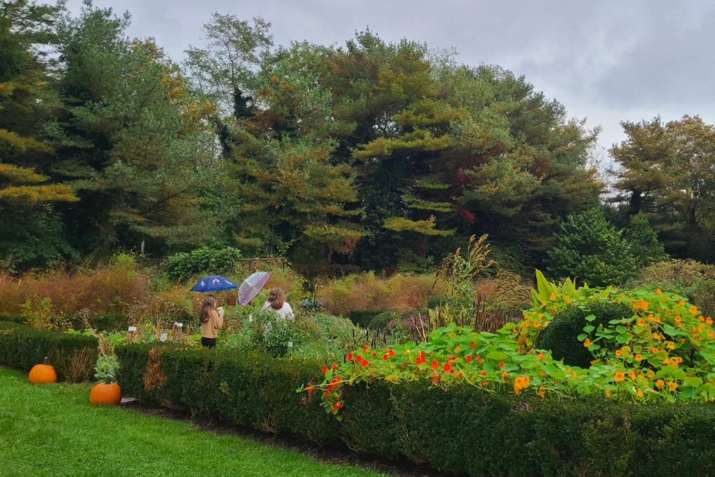 Best Fall Activities in the Hamptons | Hamptons Social