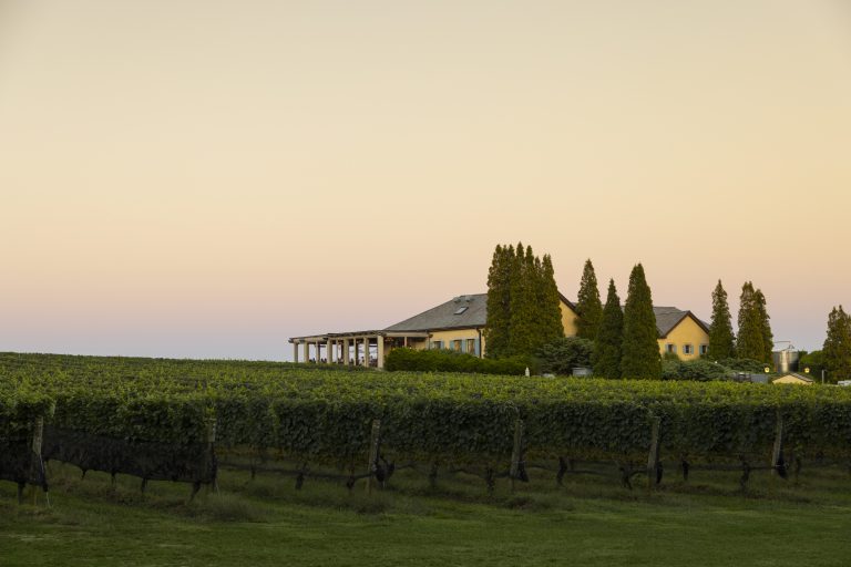 WÖLFFER ESTATE FALL & WINTER EVENTS (2025) — SAGAPONACK’S SEASONAL ...